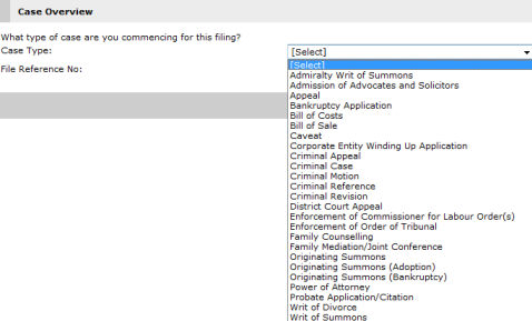 Step 1: Case Information